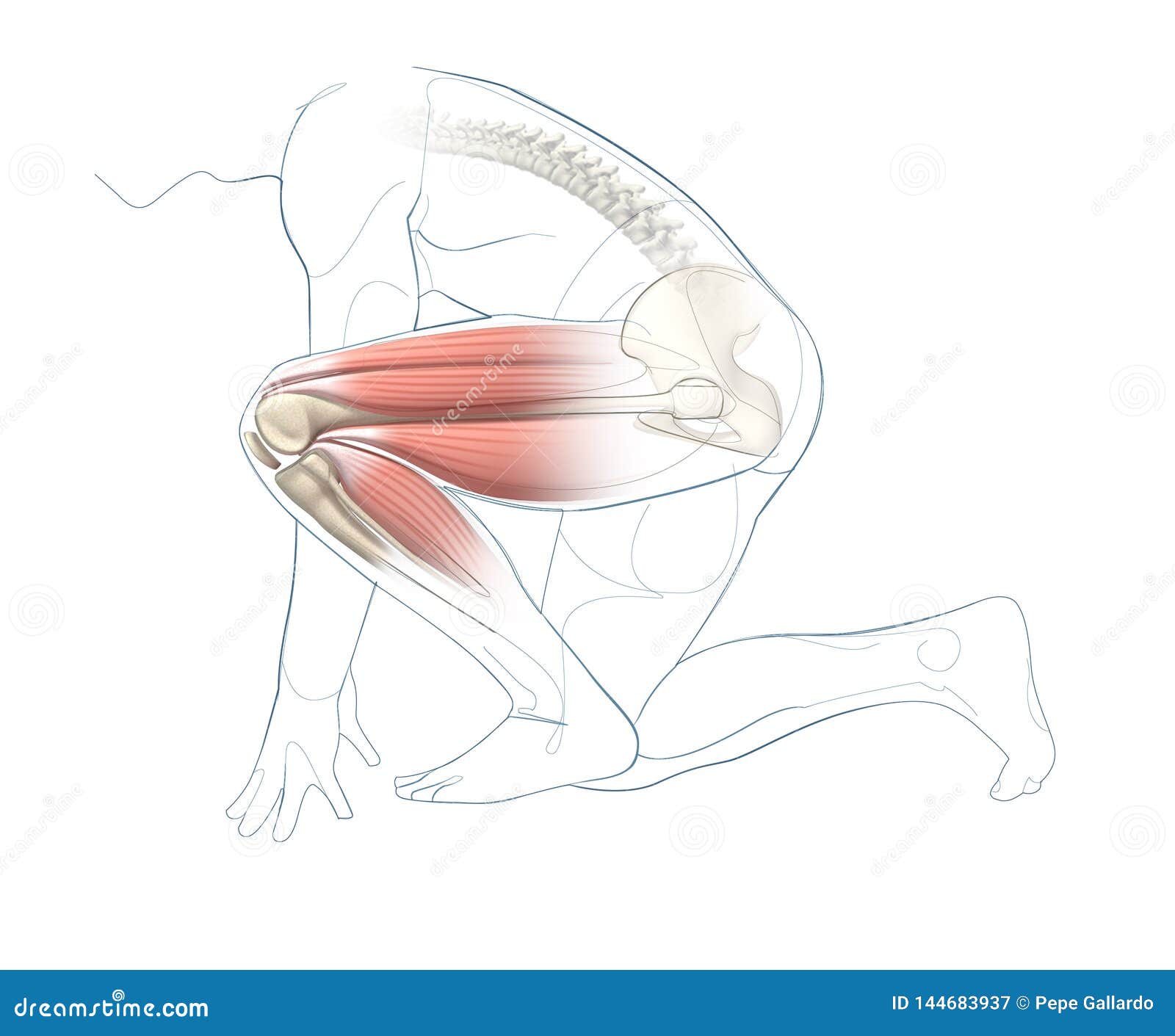 Joint Line Stock Illustrations – 9,515 Joint Line Stock Illustrations ...
