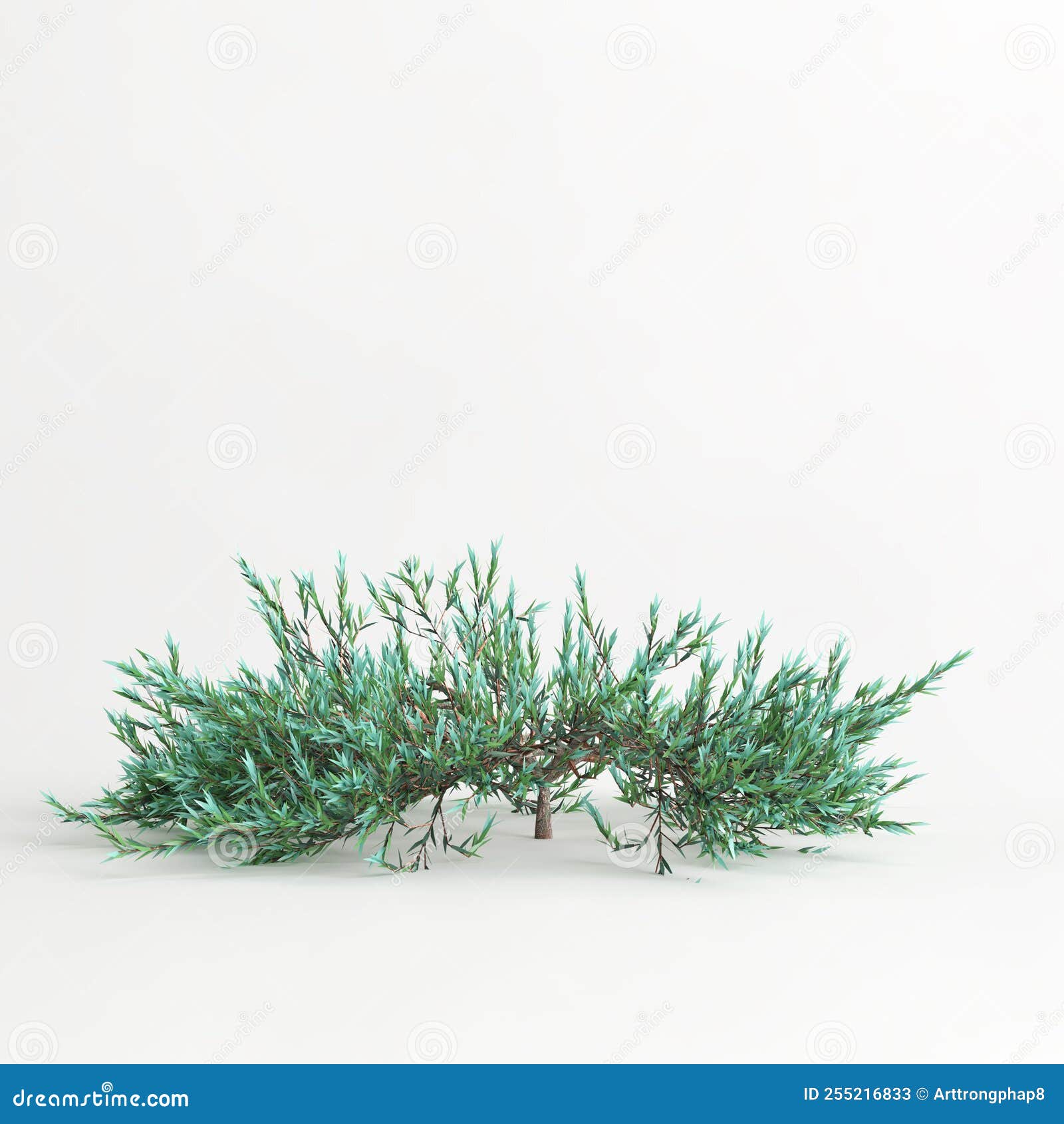3d Illustration Of Juniperus Horizontalis Tree Isolated On White ...