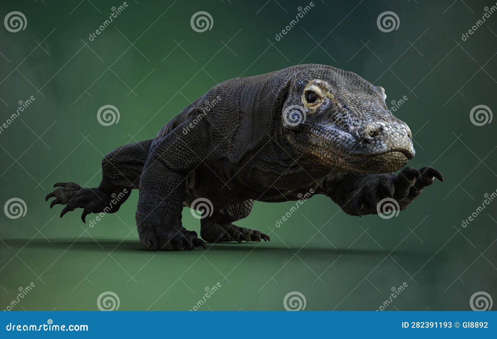3d Illustration Komodo Dragon Pose on Green Studio. Stock Illustration ...