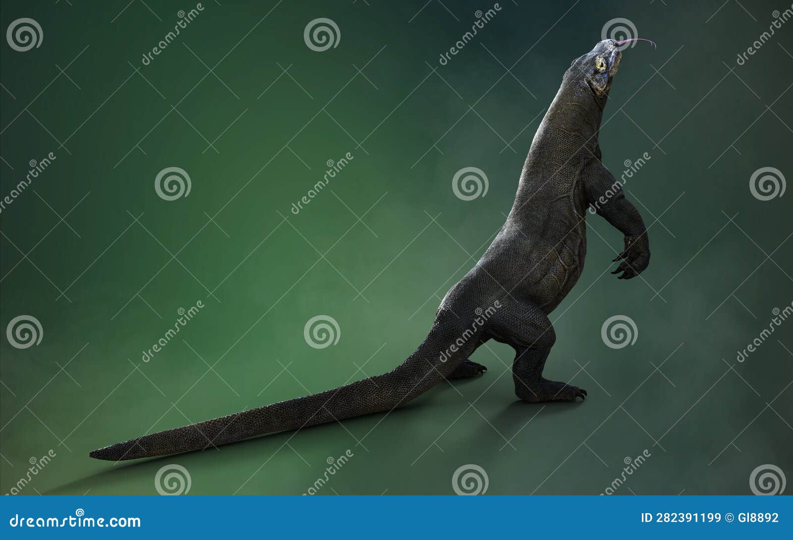 3d Illustration Komodo Dragon Pose on Green Studio. Stock Illustration ...
