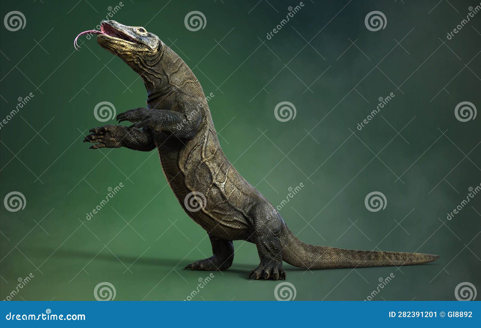 3d Illustration Komodo Dragon Pose on Green Studio. Stock Illustration ...