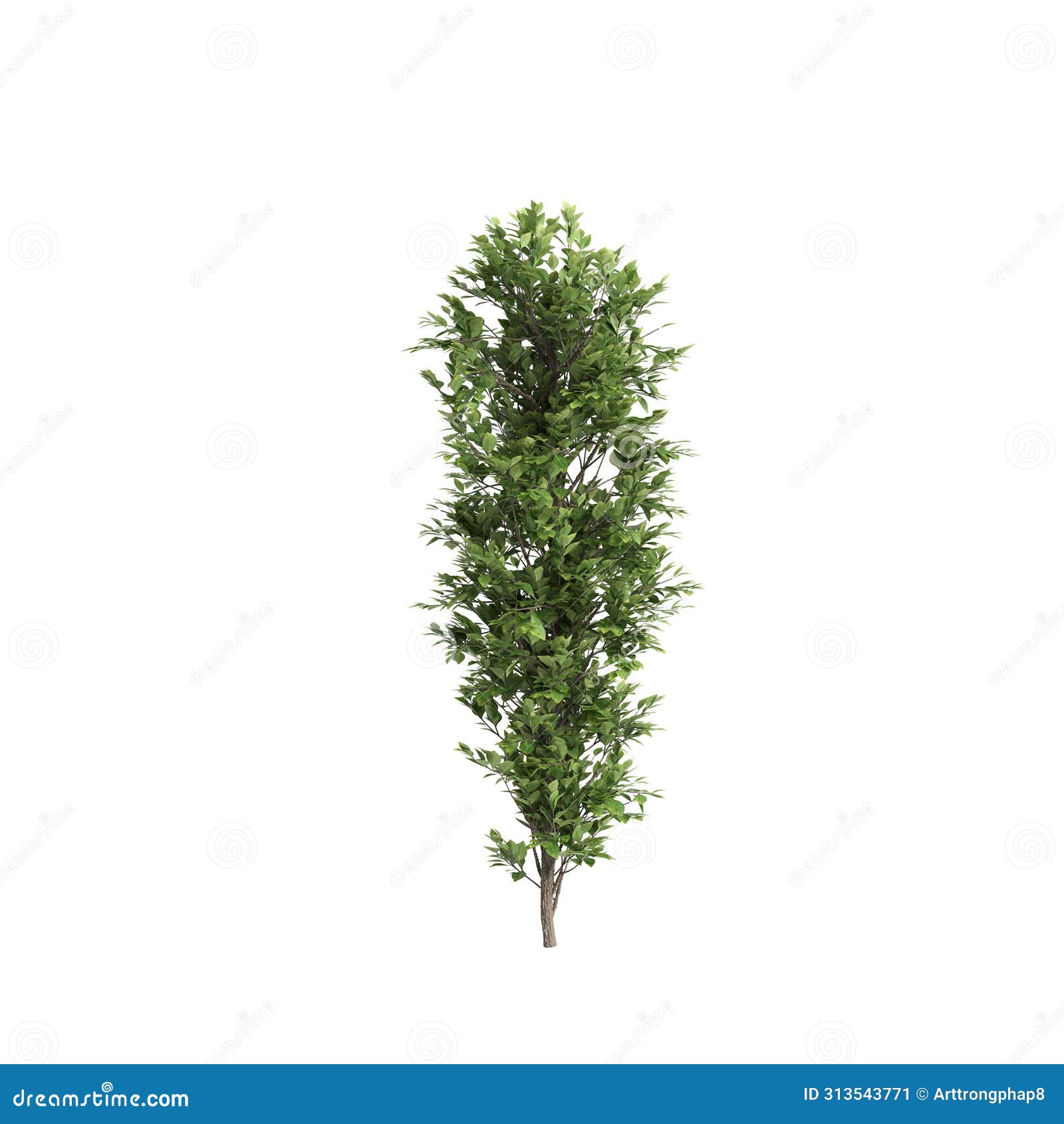 3d Illustration of Lawsonia Inermis Tree Isolated on White Background ...