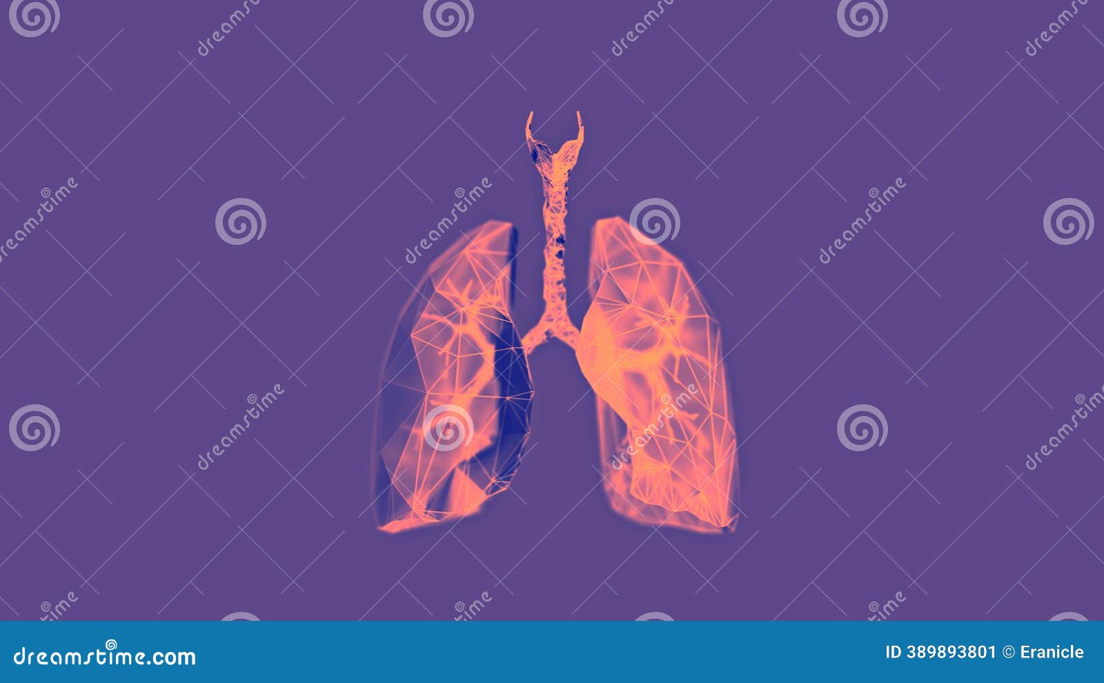 Low-Poly Human Model Evolution Sequence, Isolated On White Background, 3D Model, Human Anatomy ...