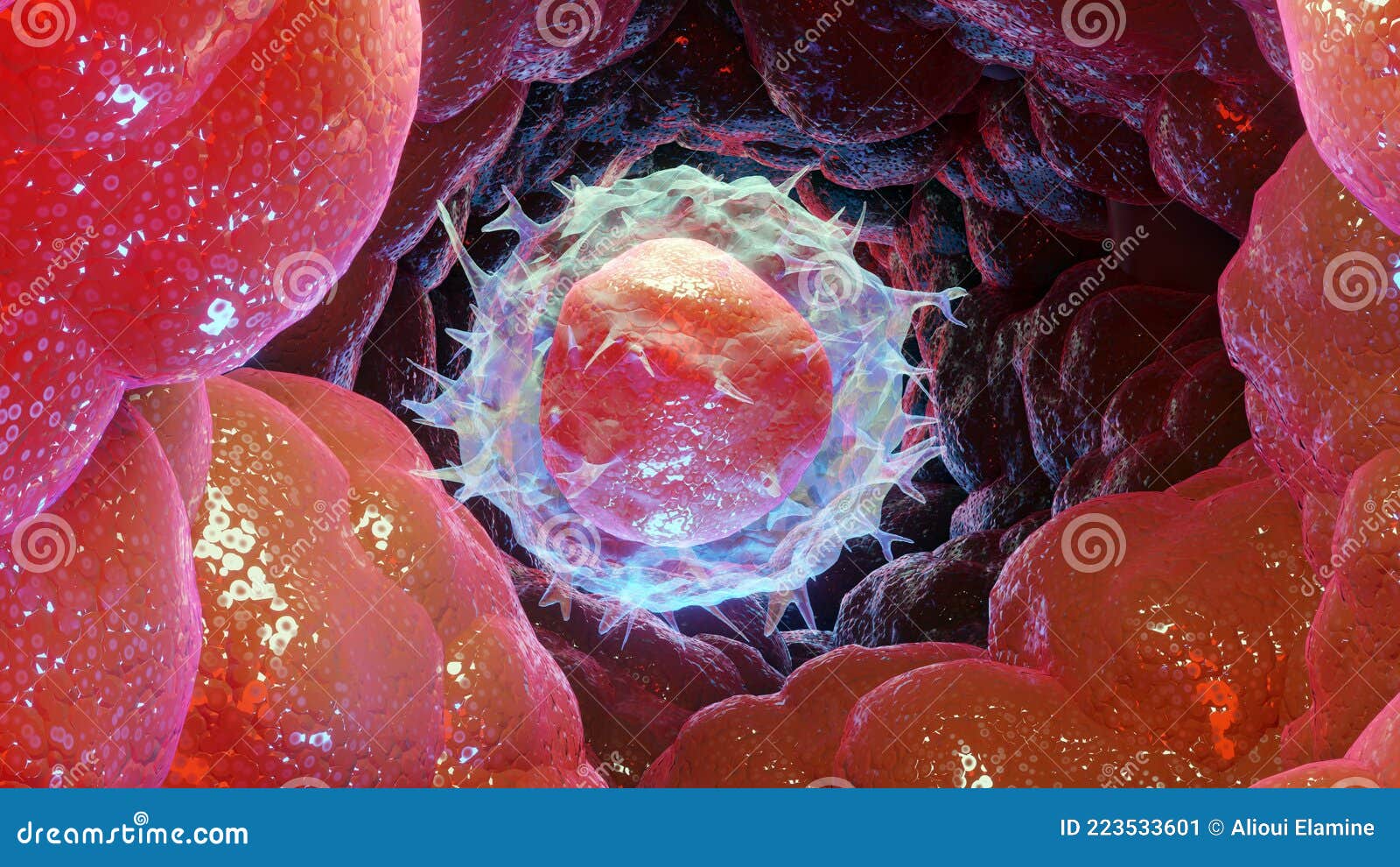 3d Illustration Of Lymphocyte Type Leukocyte Cell, White Blood Cells ...