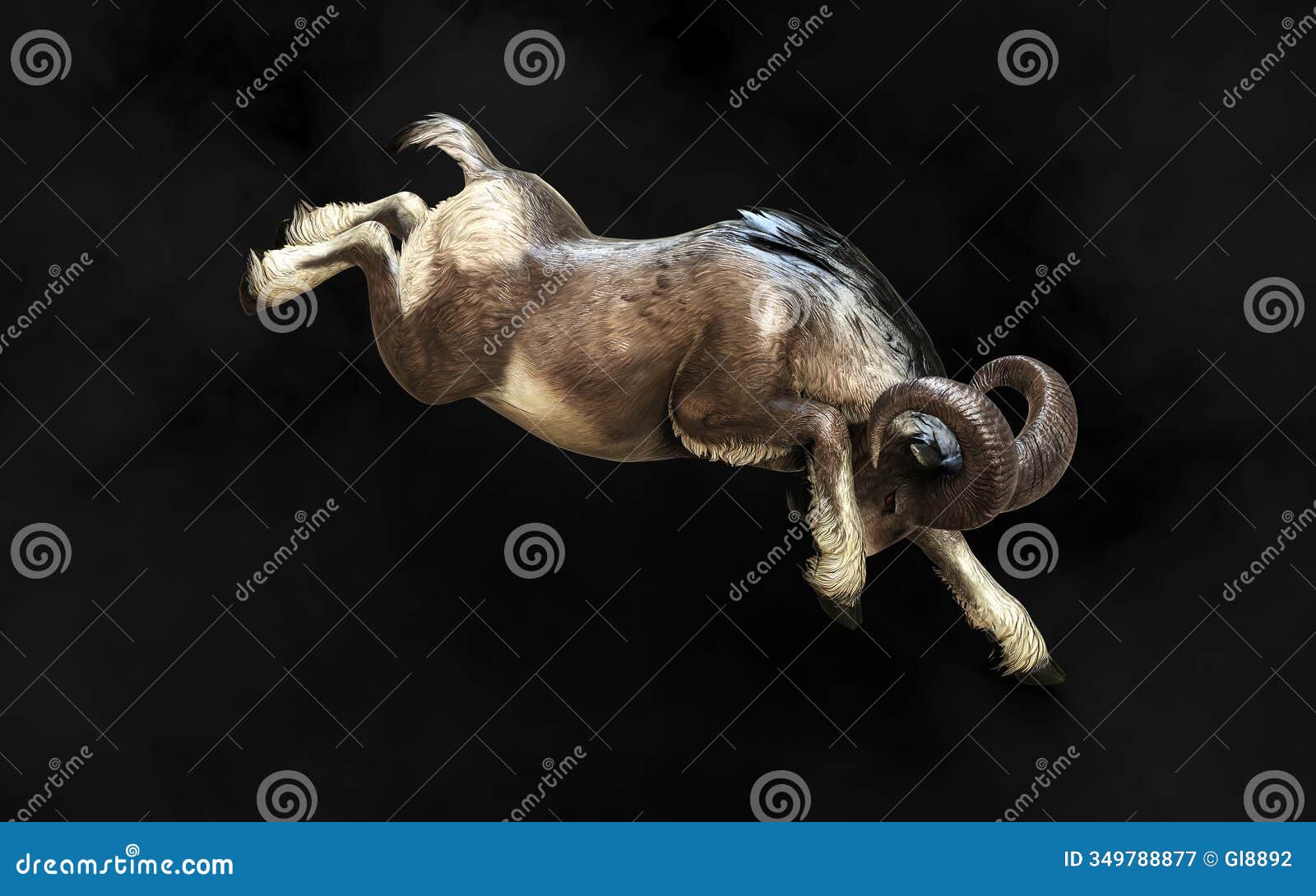 Goat Pose Isolate on Black Background with Clipping Path. Stock ...
