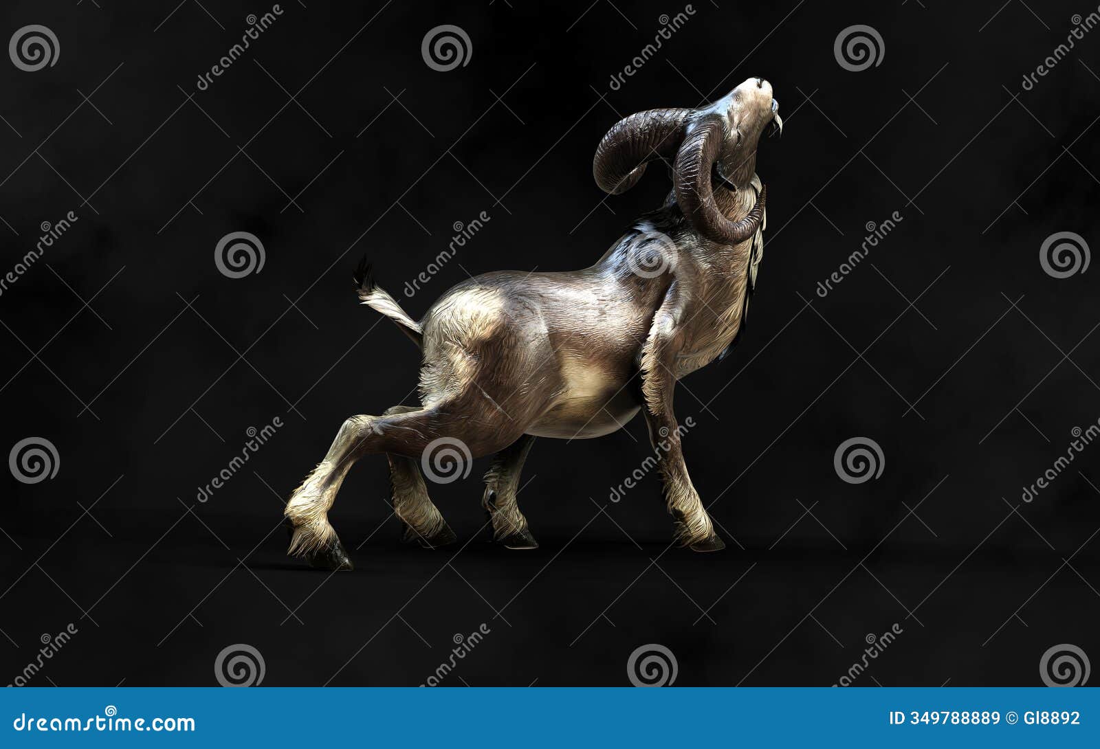 Goat Pose Isolate on Black Background with Clipping Path. Stock ...
