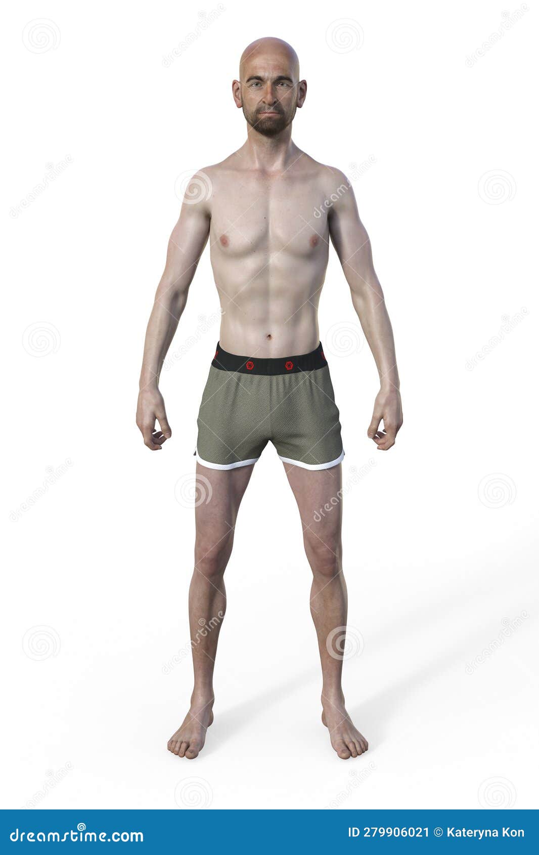A 3D Illustration of a Male Body with Ectomorph Body Type Stock ...