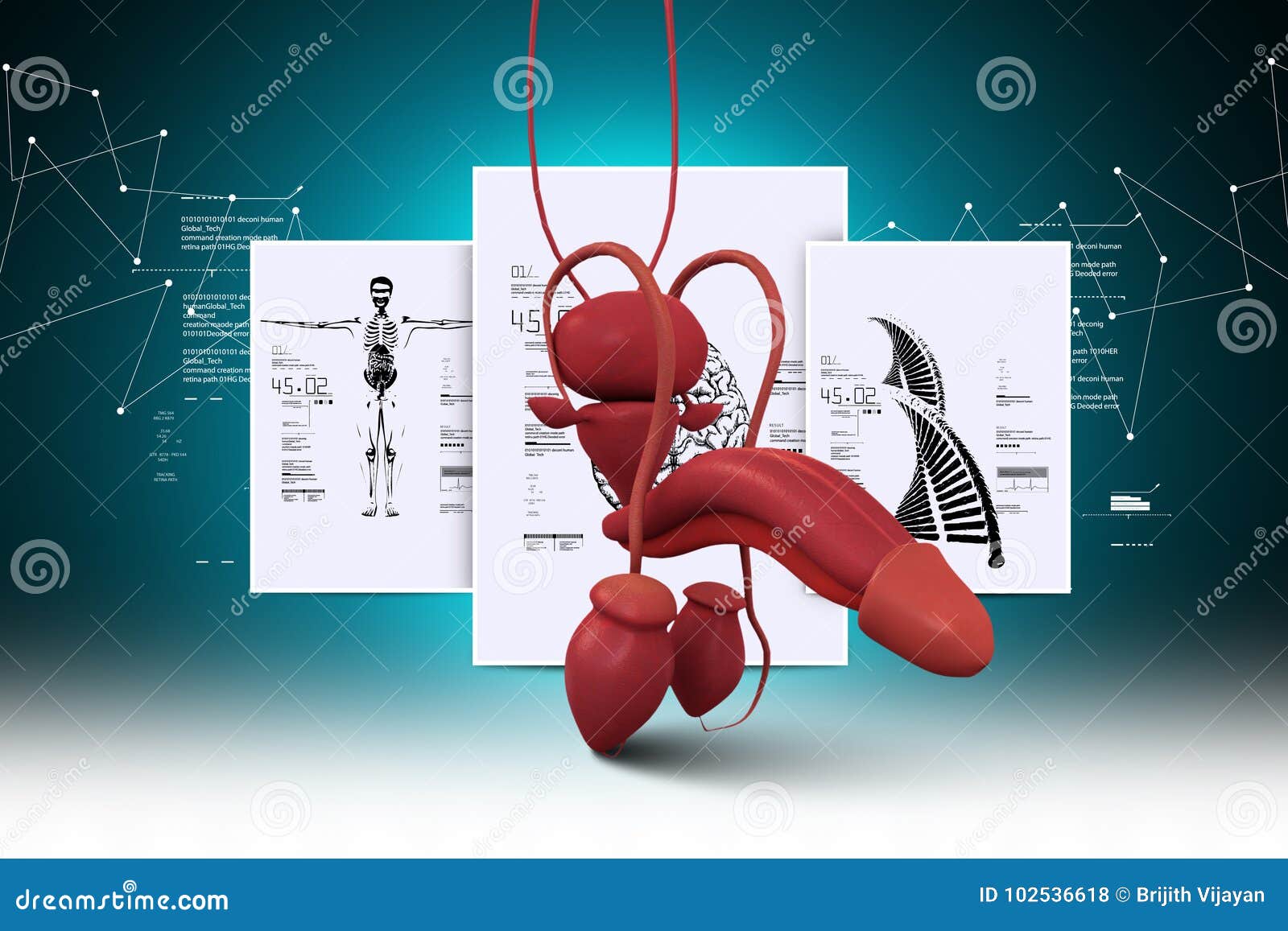 Male urinary system stock illustration. Illustration of body - 102536618