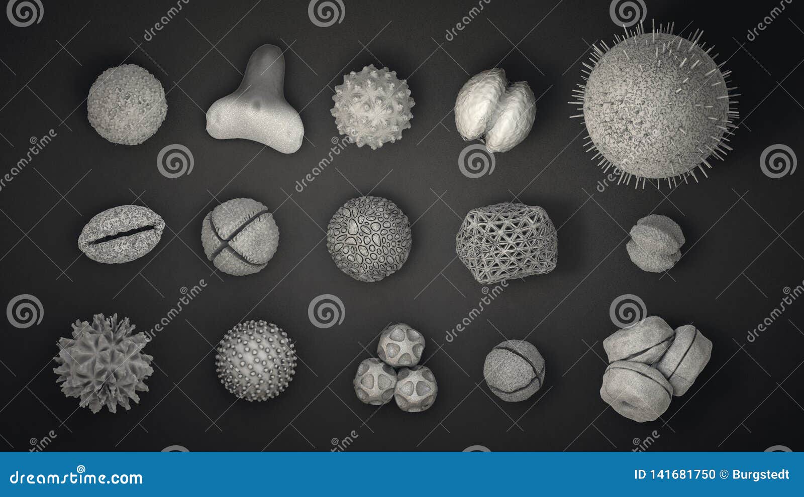 Many Different Pollen Bodies in Black and White Stock Illustration ...