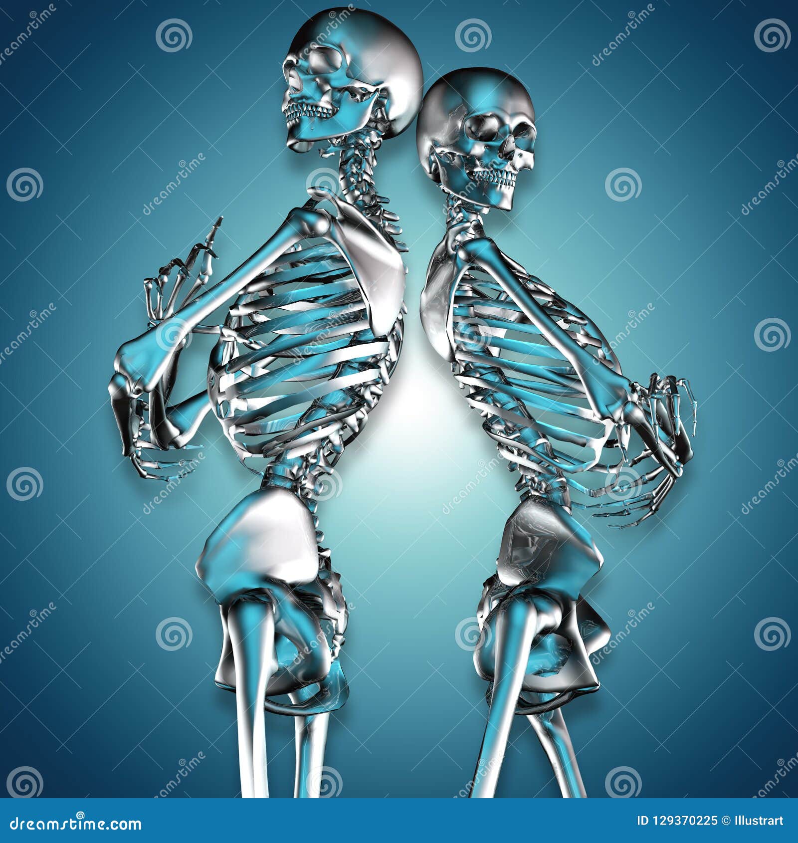 3d Illustration of Metal Skeleton Couples Stock Illustration ...