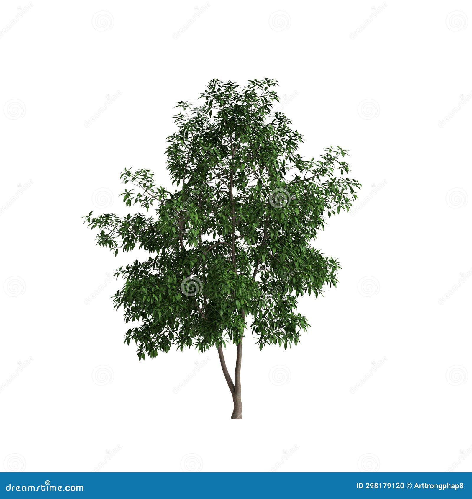 Michelia Alba Or White Champaca Flowers Background Vector Illustration ...