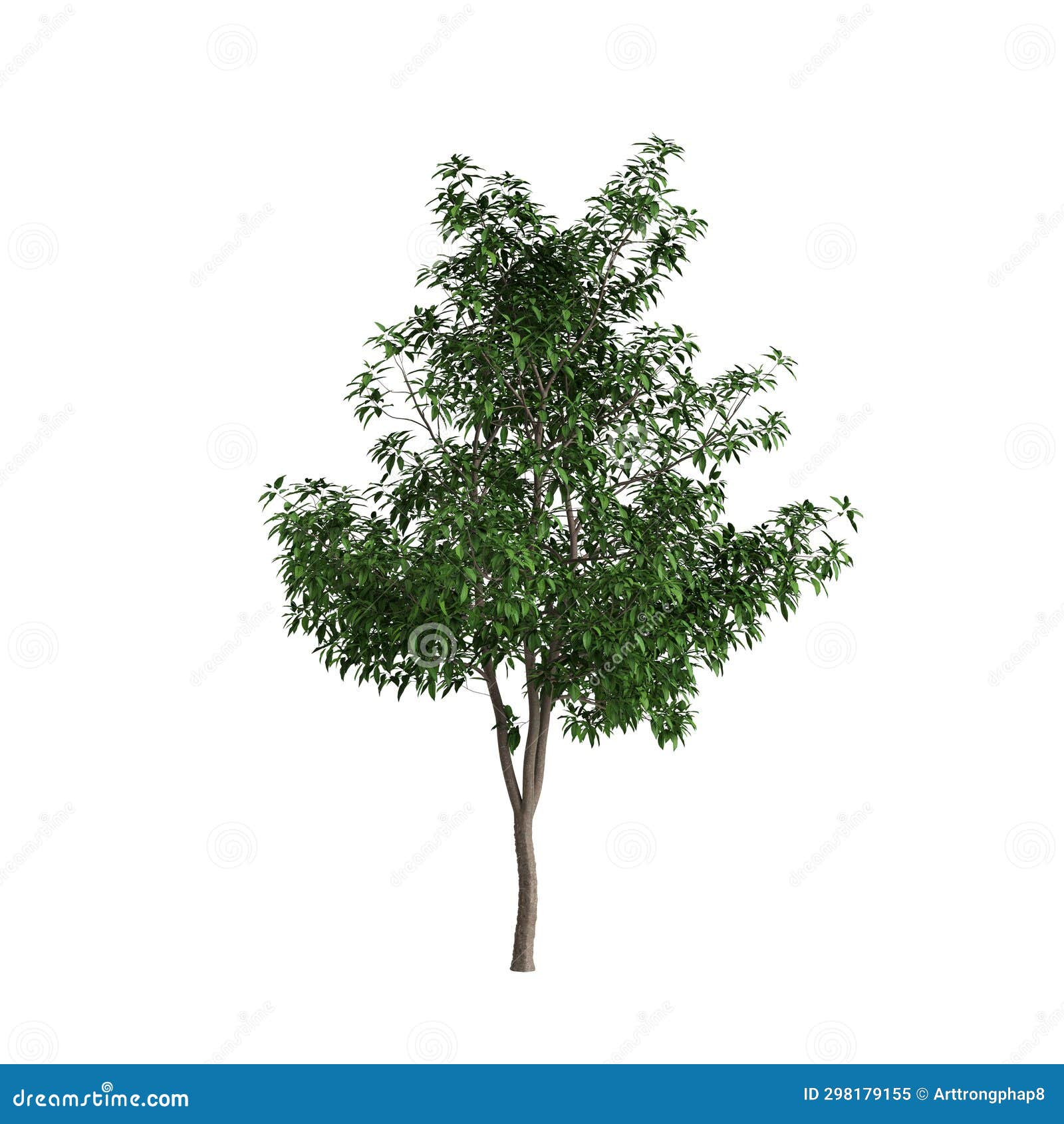 Michelia Alba Or White Champaca Flowers Background Vector Illustration ...