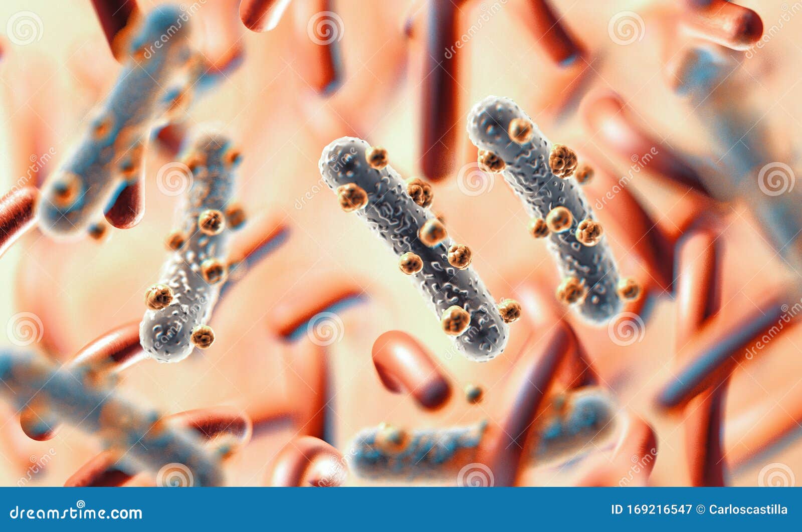Microbacteria and Bacterial Organisms.biology and Science Background ...