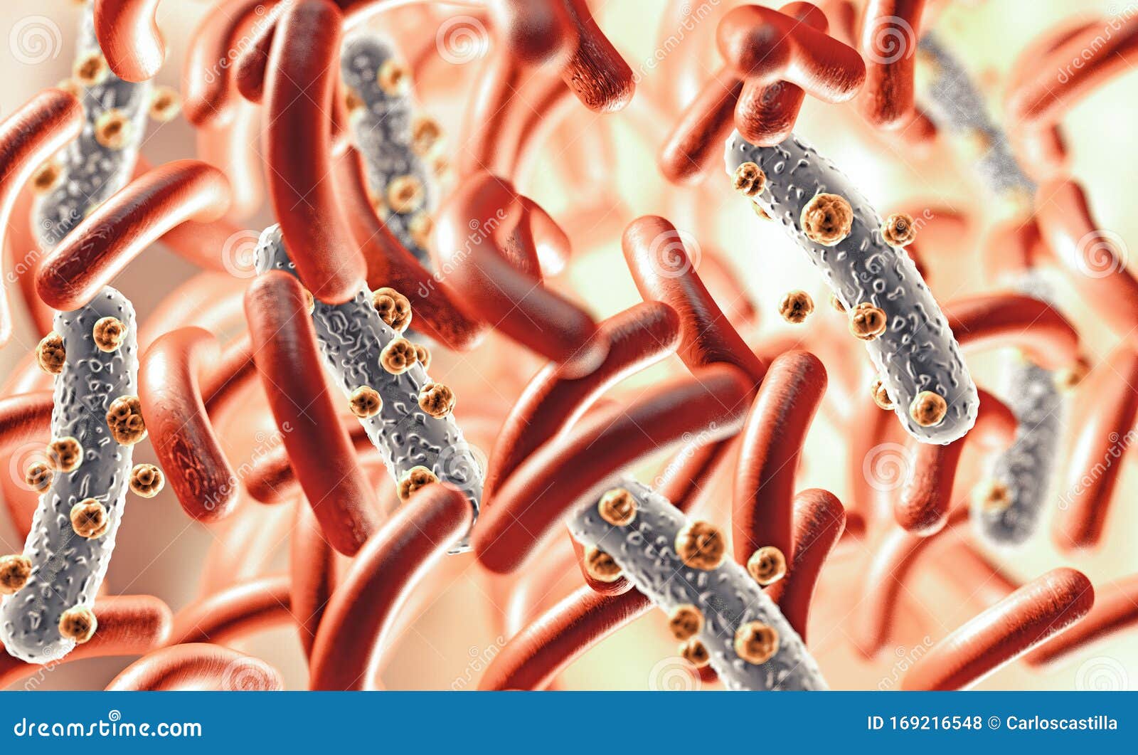 Microbacteria and Bacterial Organisms.biology and Science Background ...