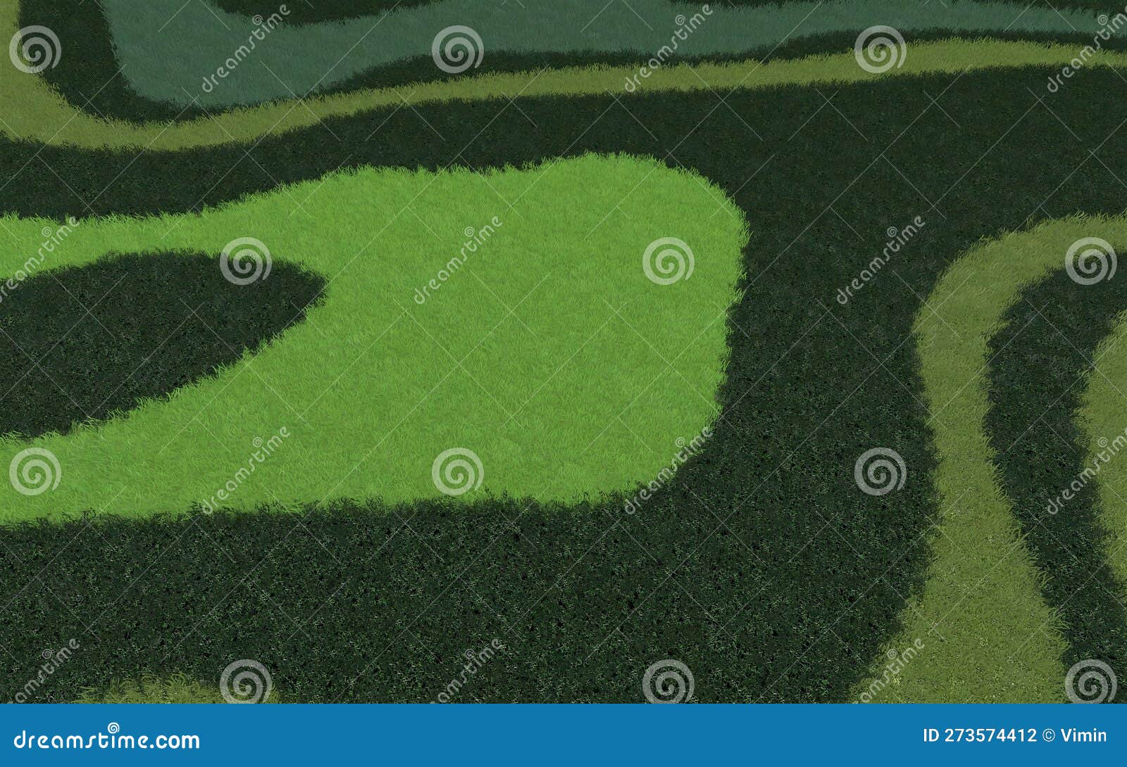 Contrasting Composition of Different Lawn Surfaces in Smooth Lines ...