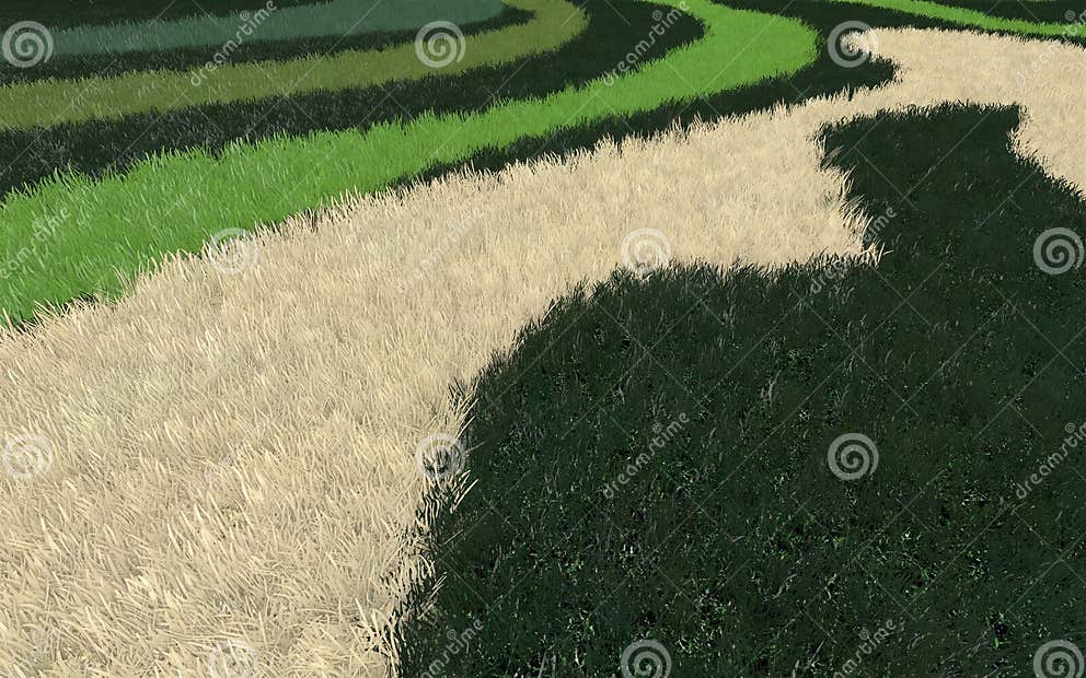 Contrasting Composition of Different Lawn Surfaces in Smooth Lines ...