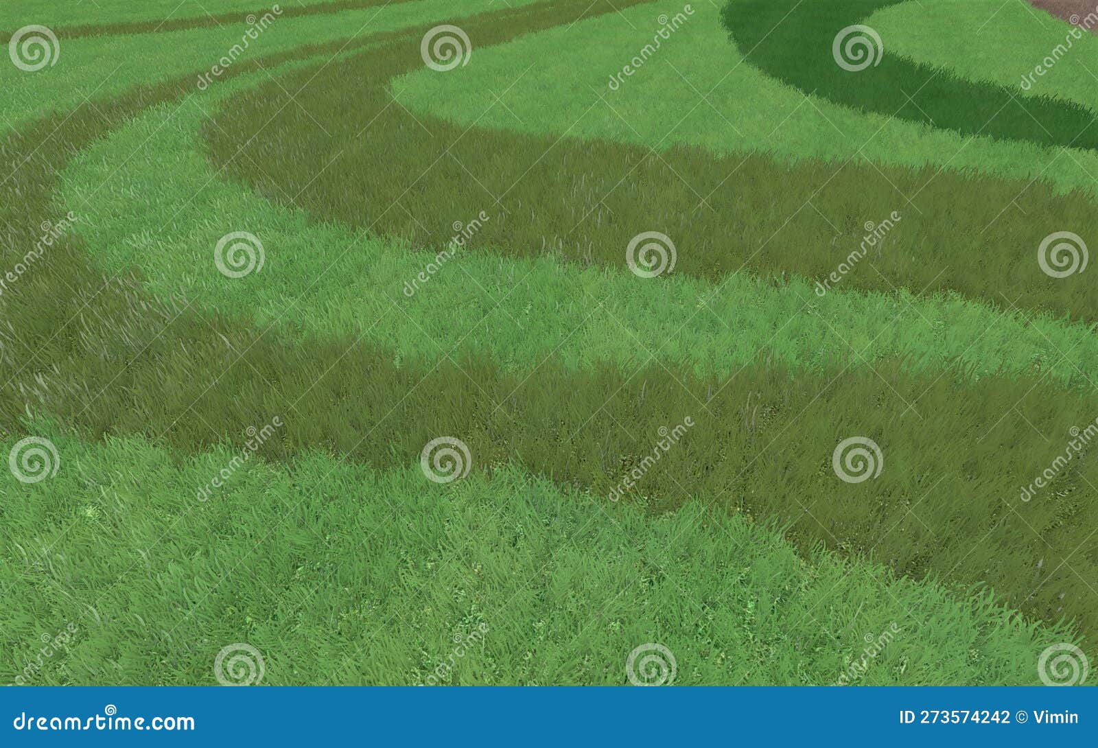 Contrasting Composition of Different Lawn Surfaces in Smooth Lines ...