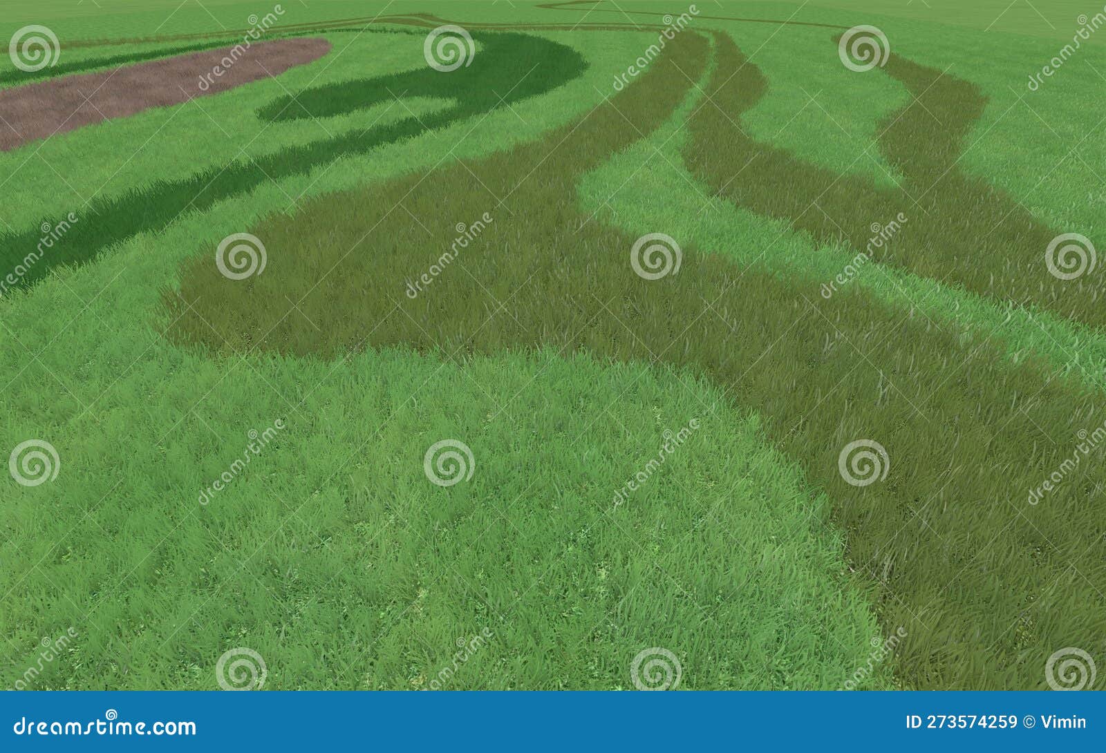 Contrasting Composition of Different Lawn Surfaces in Smooth Lines ...