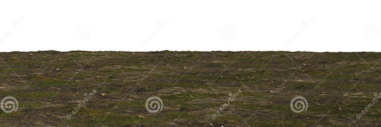 3d Illustration of Moss Covered Rock Ground Texture, Ground Material ...