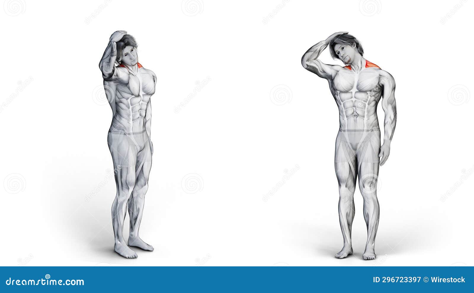 3d Illustration of Muscular Character Doing a Neck Stretching on ...