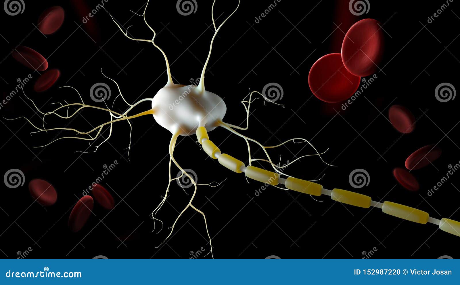 3d Illustration of Neuron Anatomy, Infographic Black Stock Illustration ...
