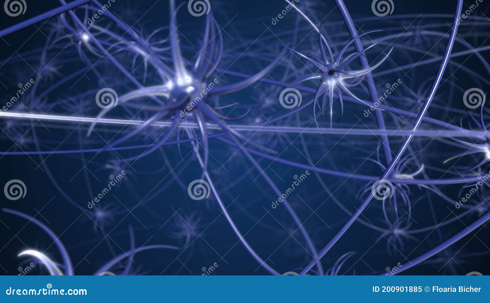 Illustration Of Neuron Anatomy. Vector Infographic Neuron, Nerve Cell ...