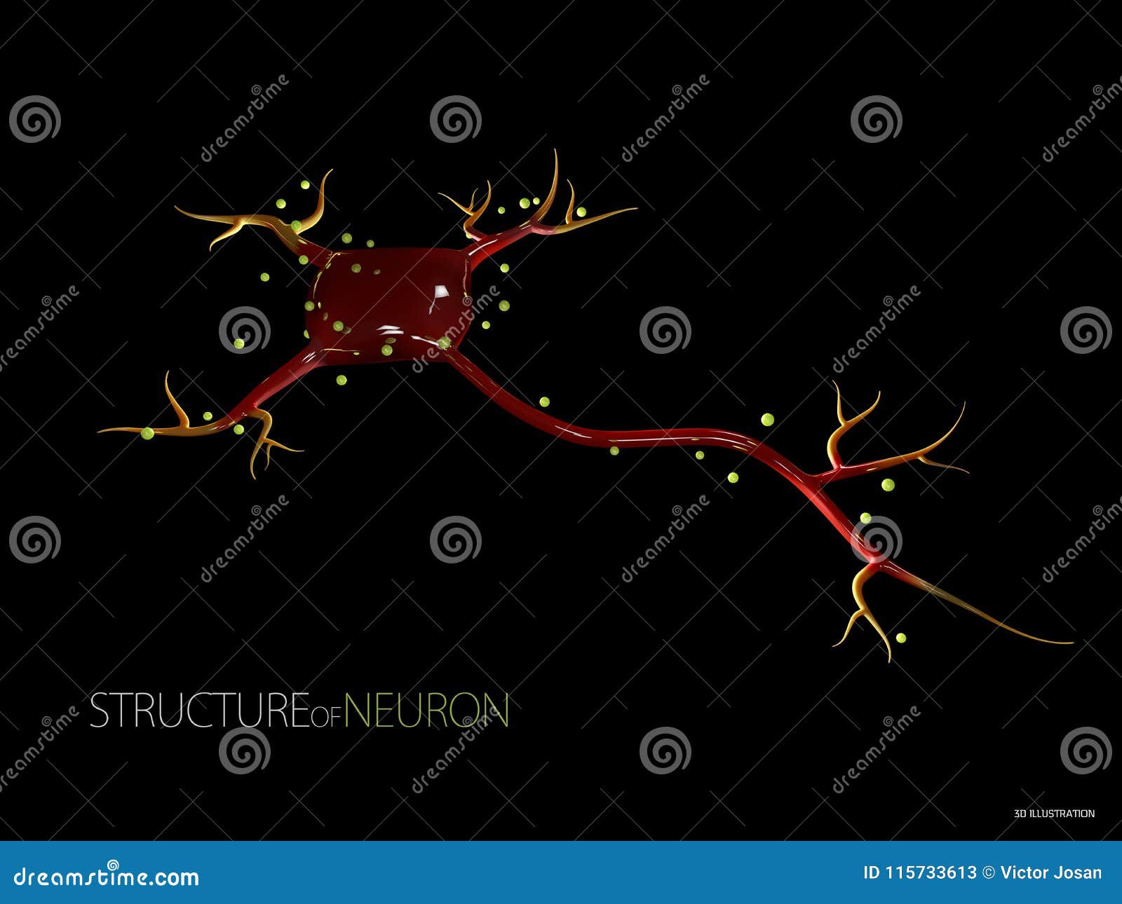 3d Illustration of Neuron Cells, High Resolution 3D Illustration ...
