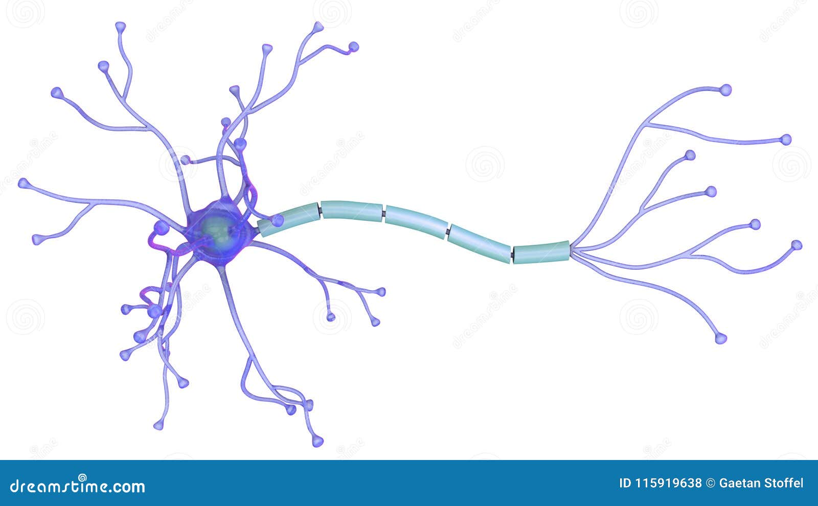 3D illustration of neuron stock illustration. Illustration of ...