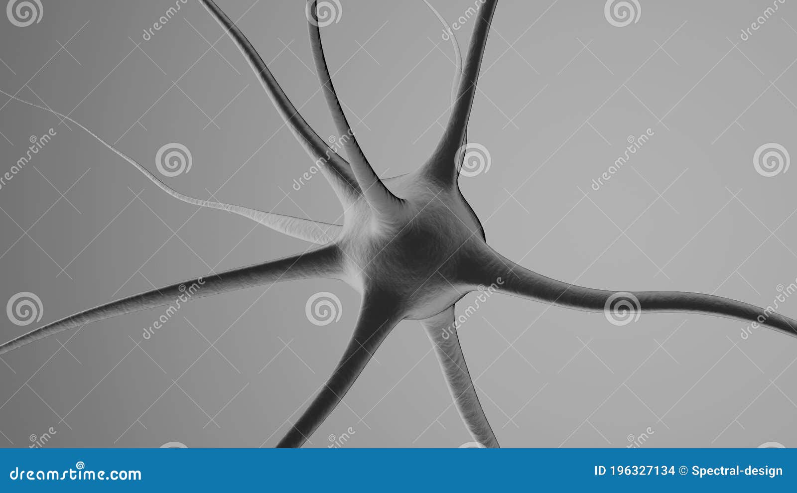 3D Rendered Illustration of a Neuronal Cell Stock Illustration ...
