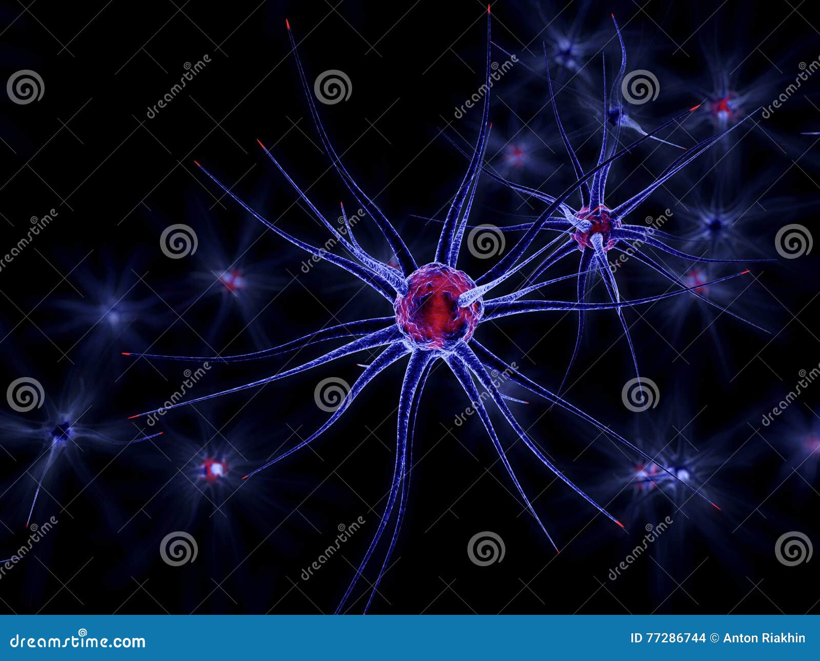 3D Illustration of Neuronal Cells. Stock Illustration - Illustration of ...