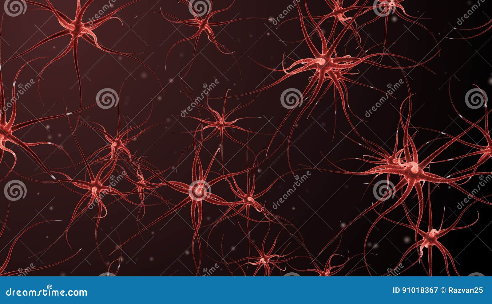 3d Illustration of Neurons Forming a Neural Network Stock Illustration ...