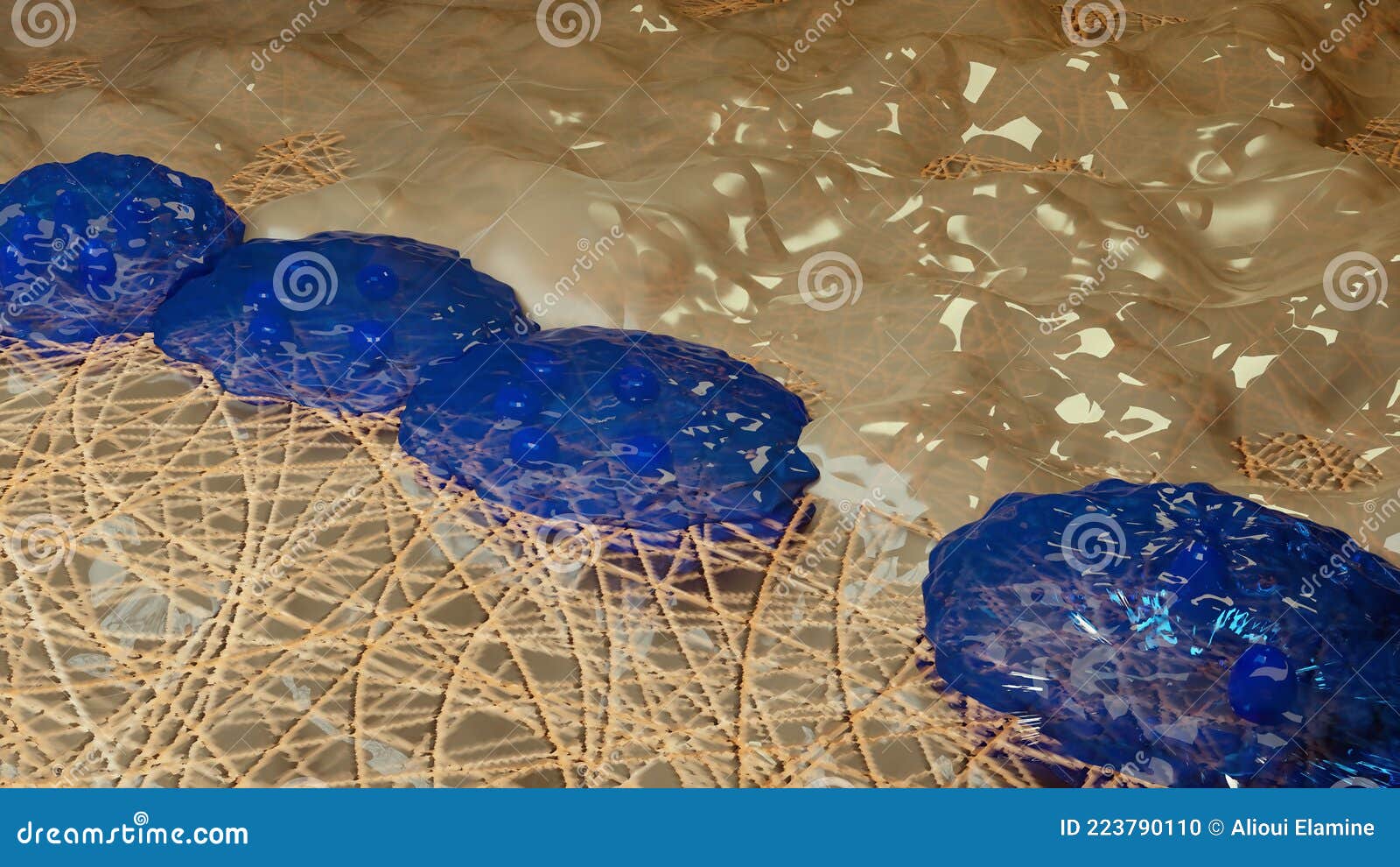 Osteoblaste, Medically Accurate, Bone Modeling and Remodeling Stock ...