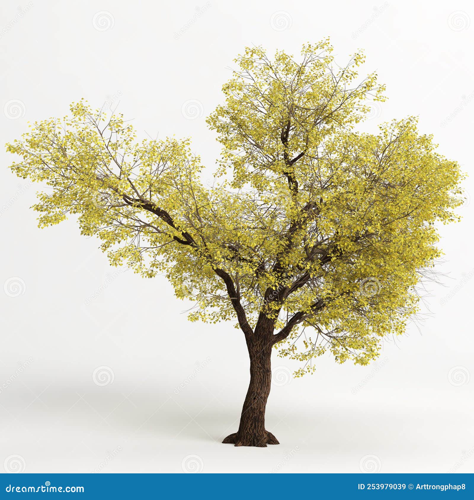 Colorful Map Of Fremont, California With All Major And Minor Roads ...