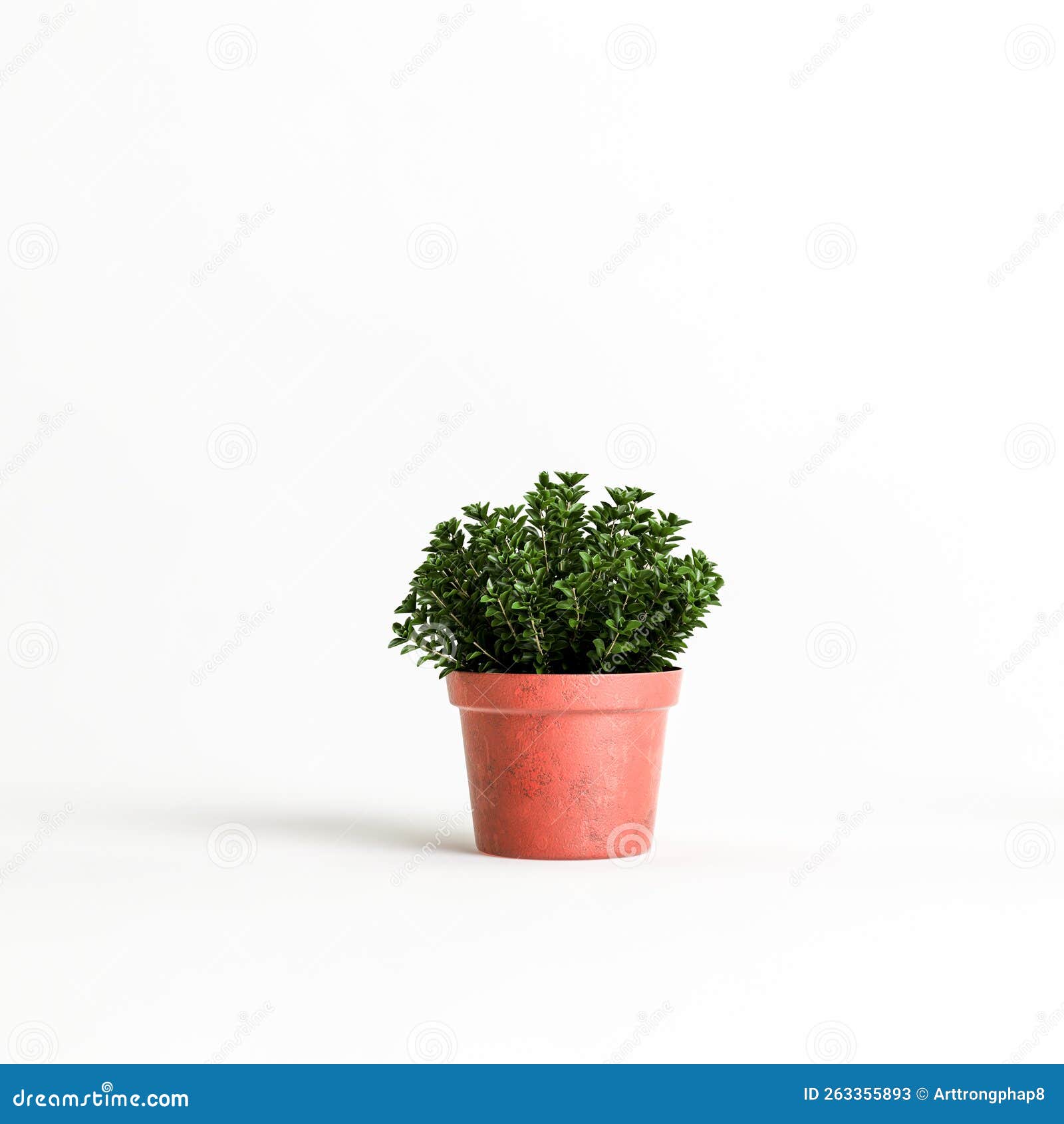 3d Illustration of Potted Plant Isolated on White Background Stock ...
