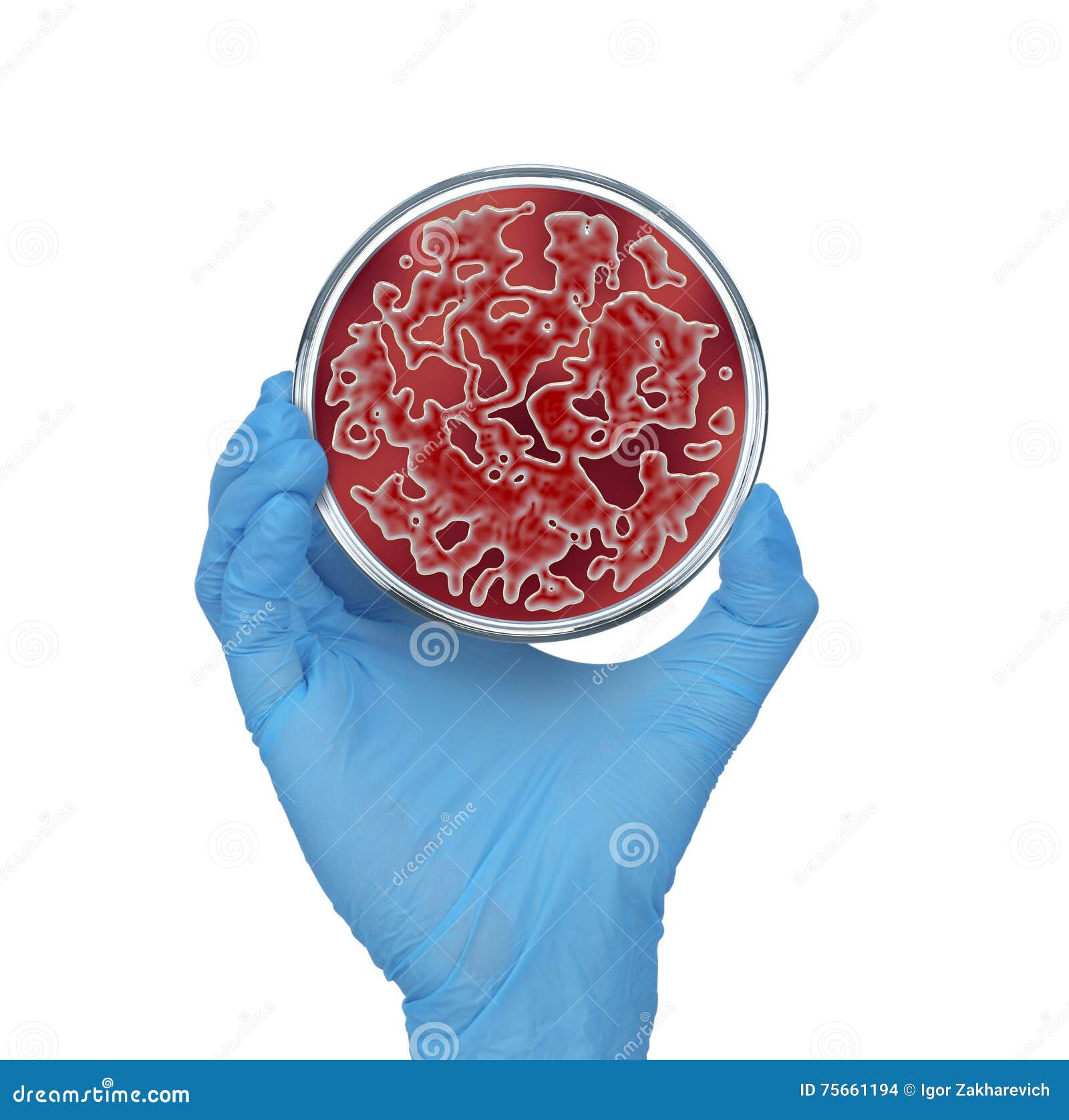 3d Render Of Bacteria Deadly Syphilis Disease Stock Illustration ...