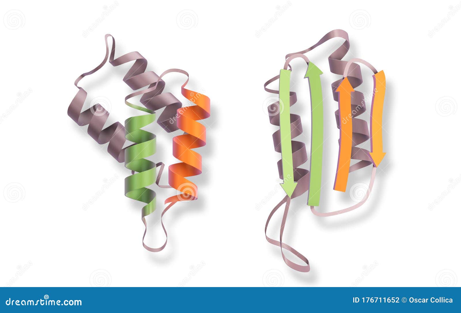 3d Illustration Rendering Prions Prion Protein Mutation Before And After Stock Illustration