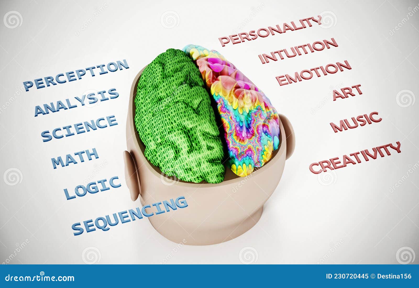 3D Illustration Representing Two Lobes of the Human Brain Stock ...