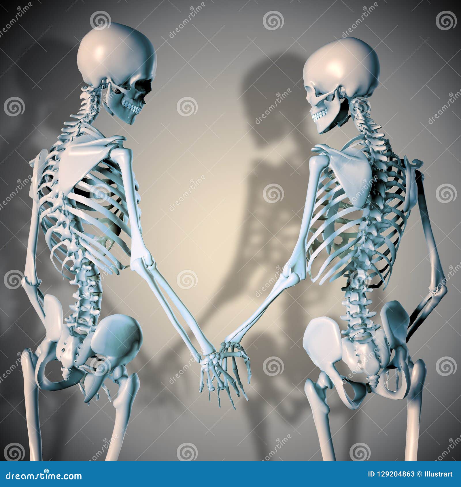 3d Illustration of Romantic Skeleton Couples Stock Illustration ...