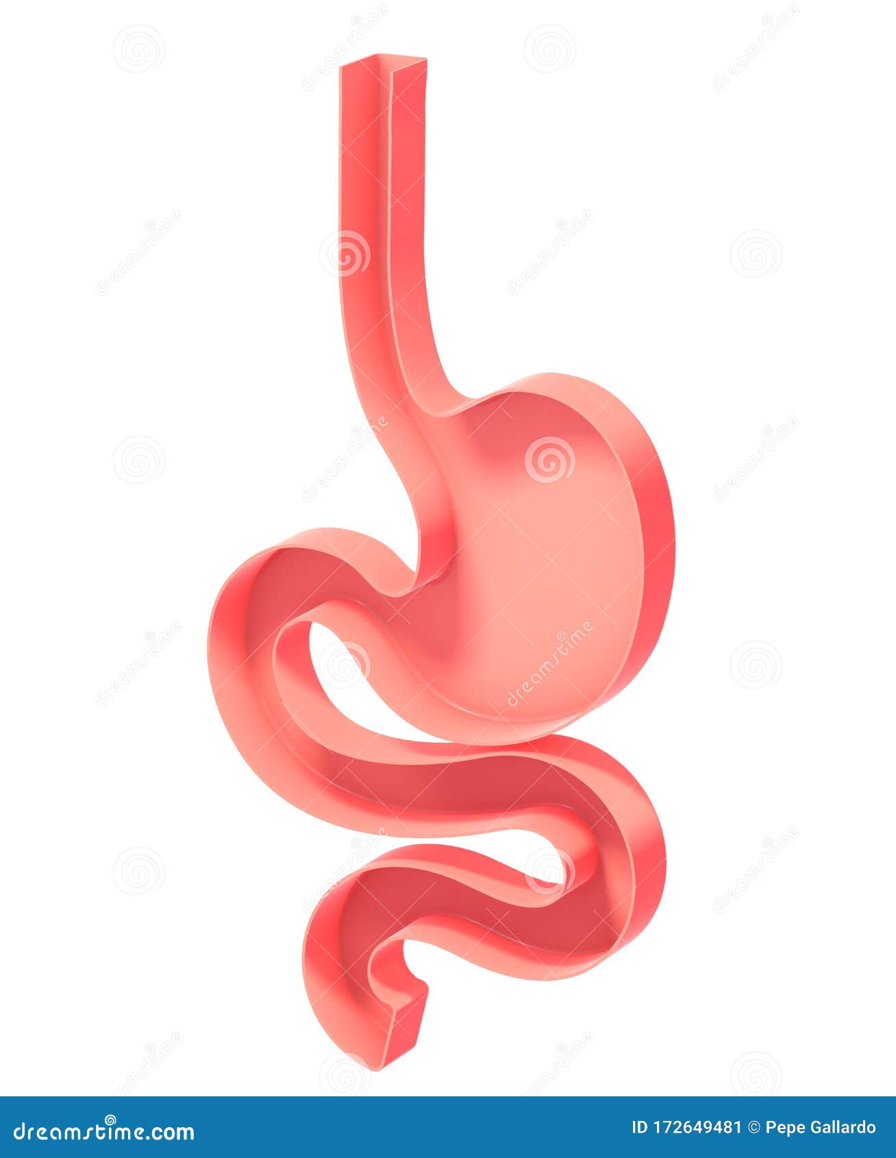 3D Illustration of the Schematic Interior of the Stomach. Stock ...