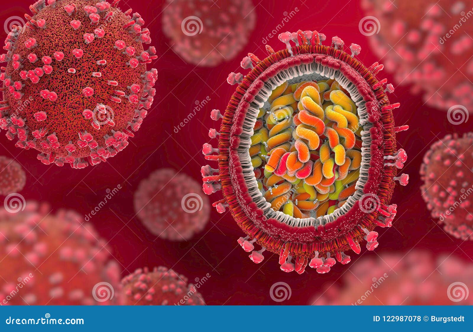 Scientifically Correct Representation of a Flu Pathogen Stock ...