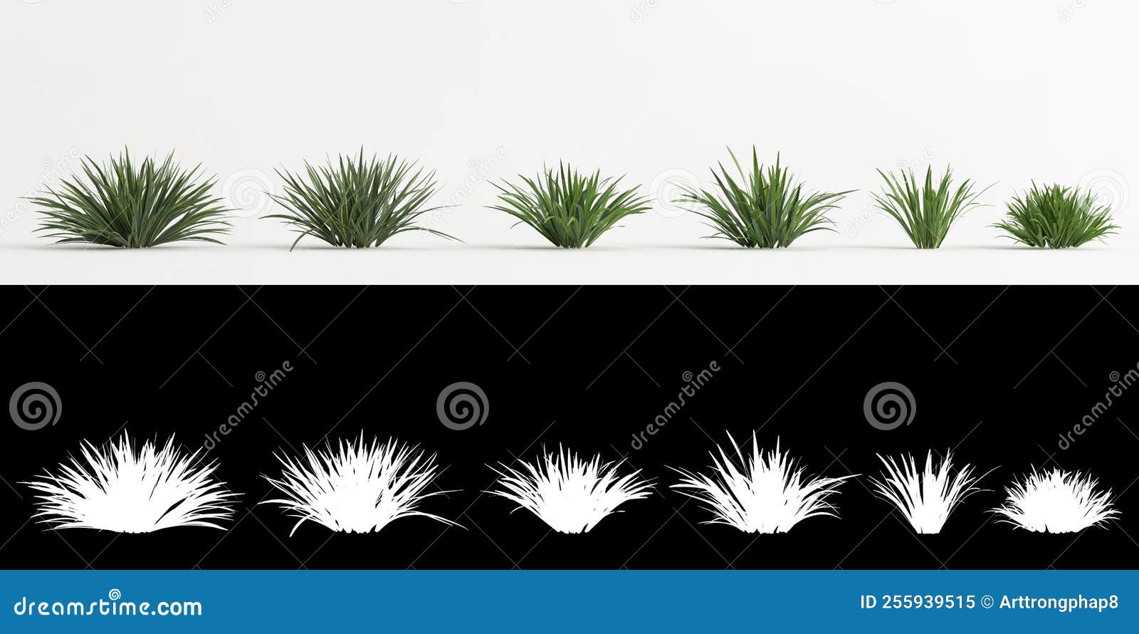 3d Illustration of Set Acorus Calamus Tree Isolated on White and Its ...