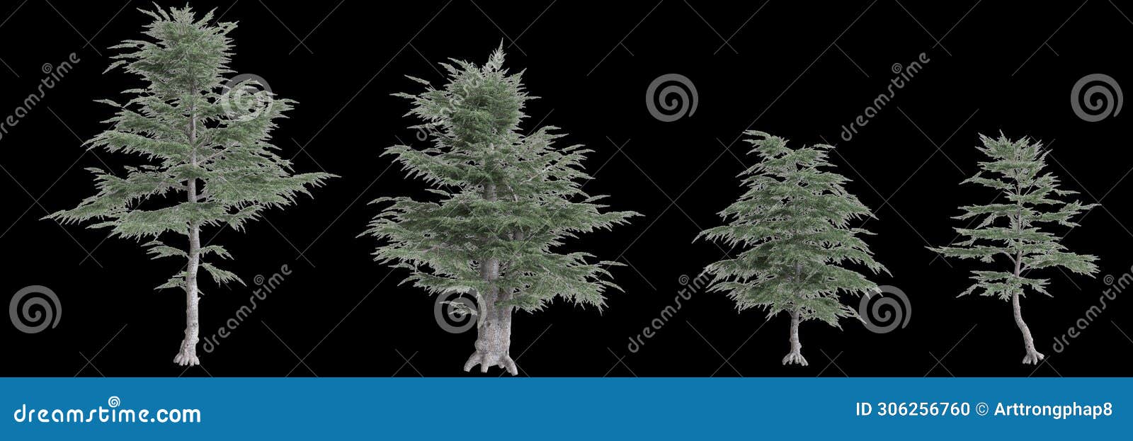 3d Illustration of Set Cedrus Libani Tree Isolated on Black Background ...