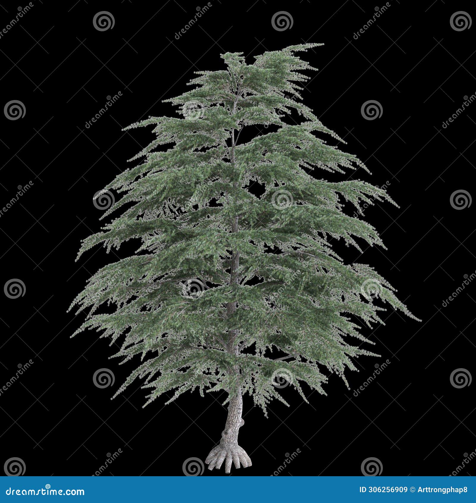 3d Illustration Of Set Cedrus Libani Tree Isolated On Black Background ...