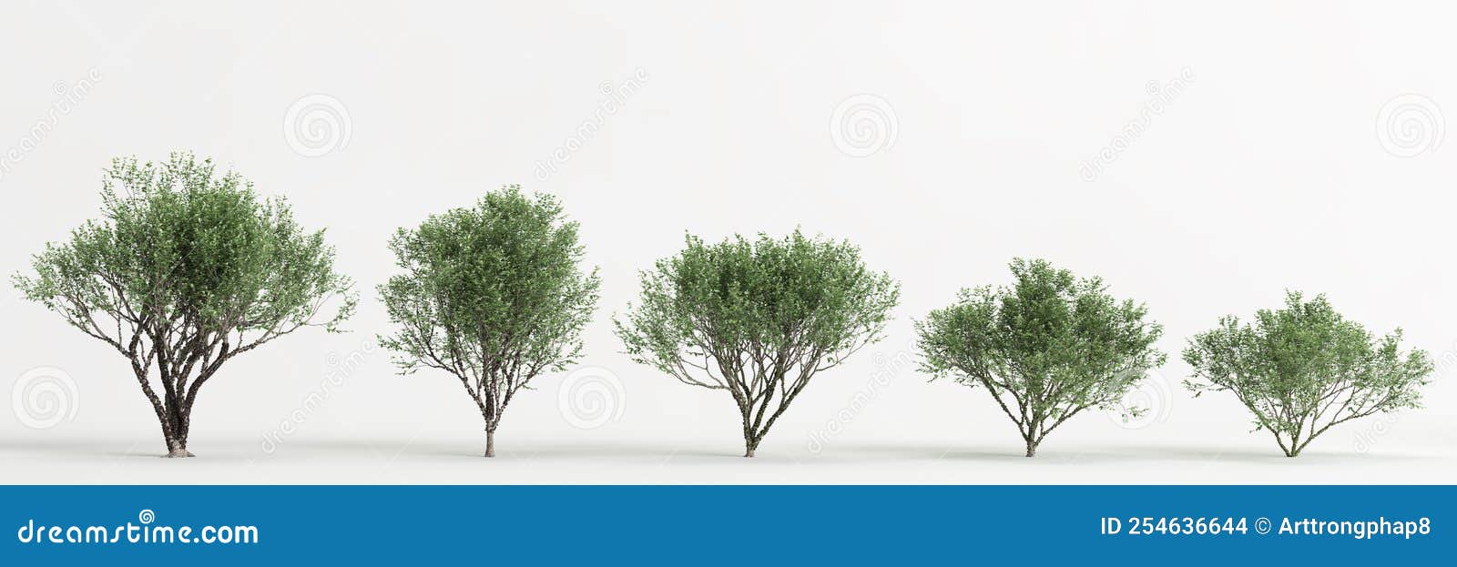 3d Illustration Of Set Plinia Cauliflora Tree Isolated On White ...