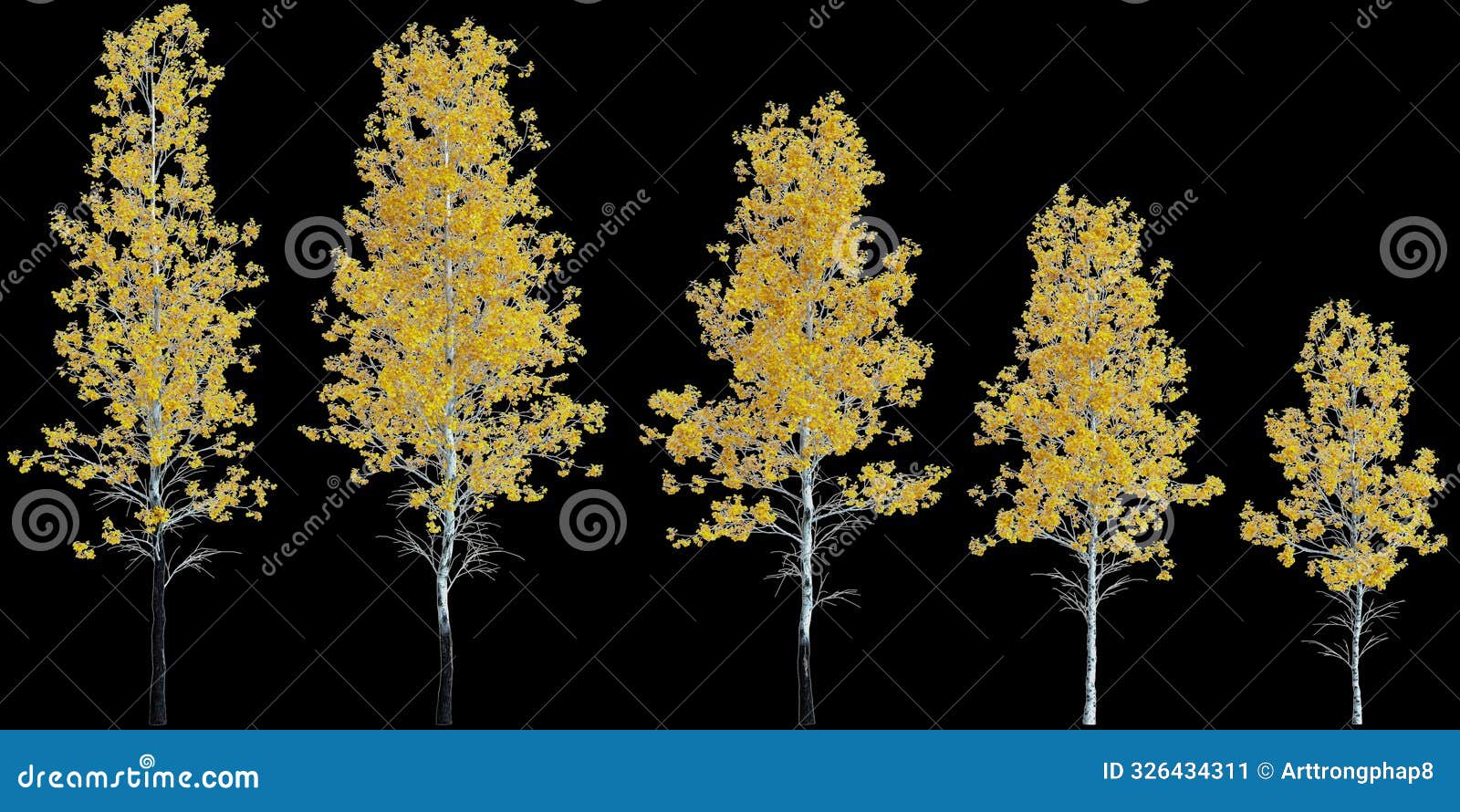 3d Illustration Of Set Populus Tremuloides Tree Isolated On Black ...