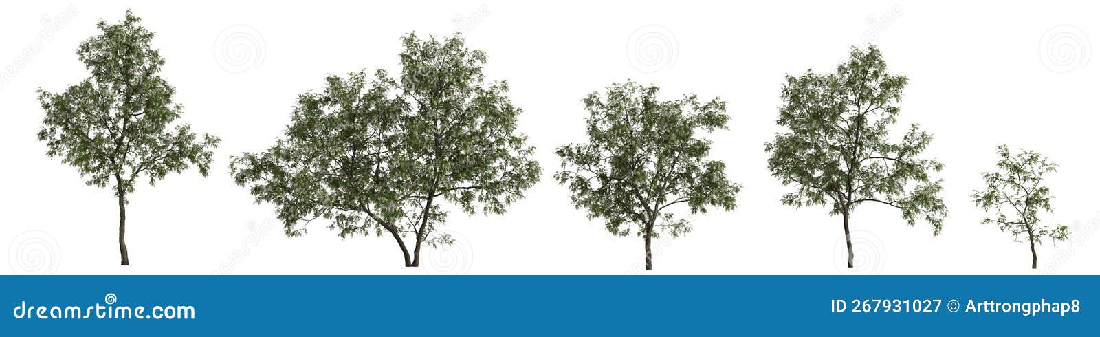 Old Robinia Tree Bark With Green Moss - Nature Texture Photography ...