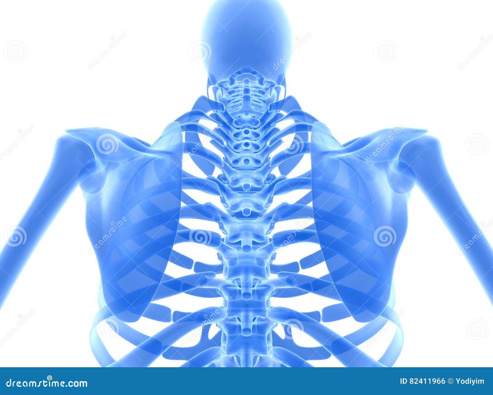 3D Illustration of Shiny Blue Skeleton System. Stock Illustration ...