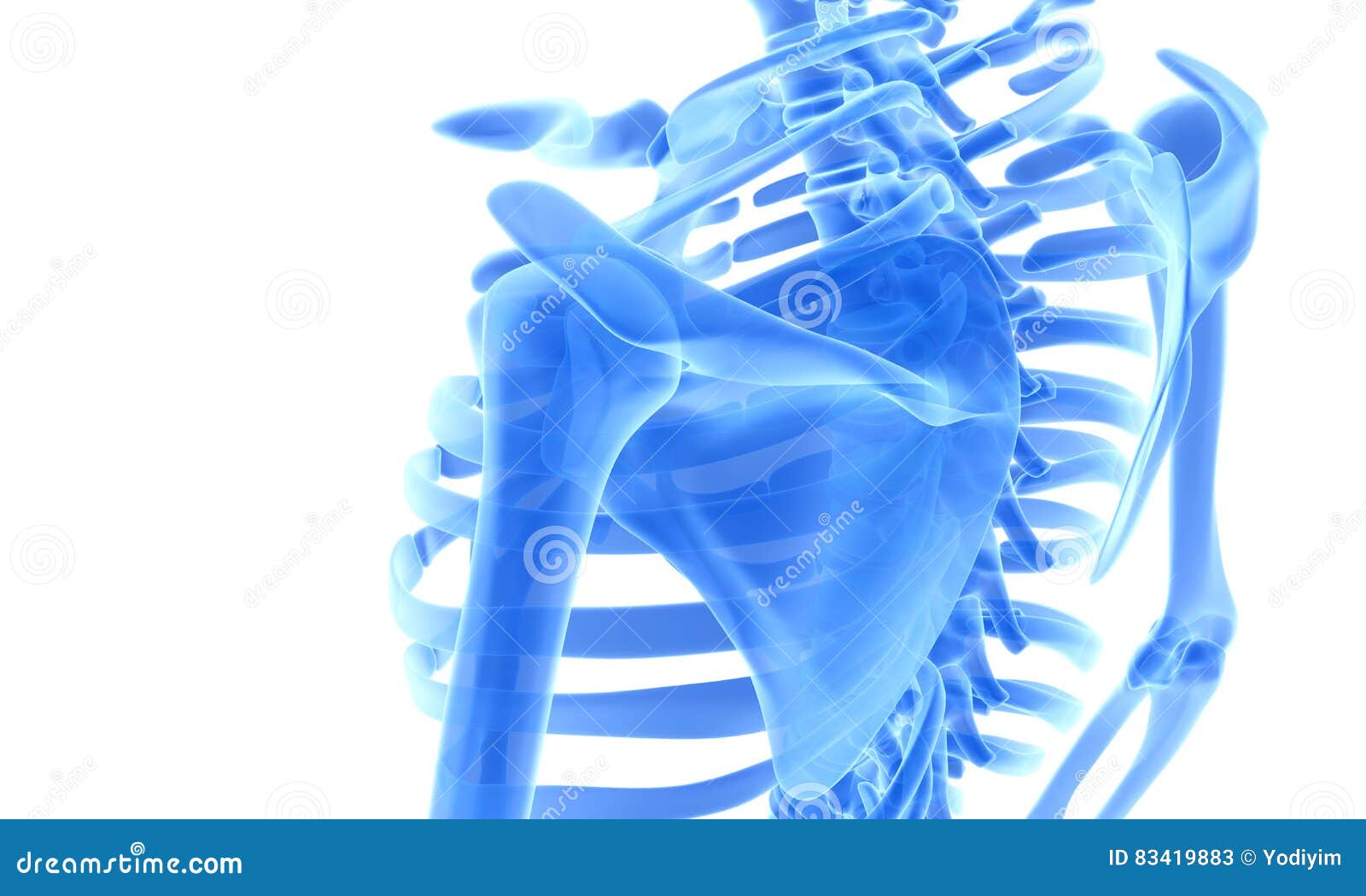 3D Illustration Of Shiny Blue Skeleton System. Royalty-Free Cartoon ...