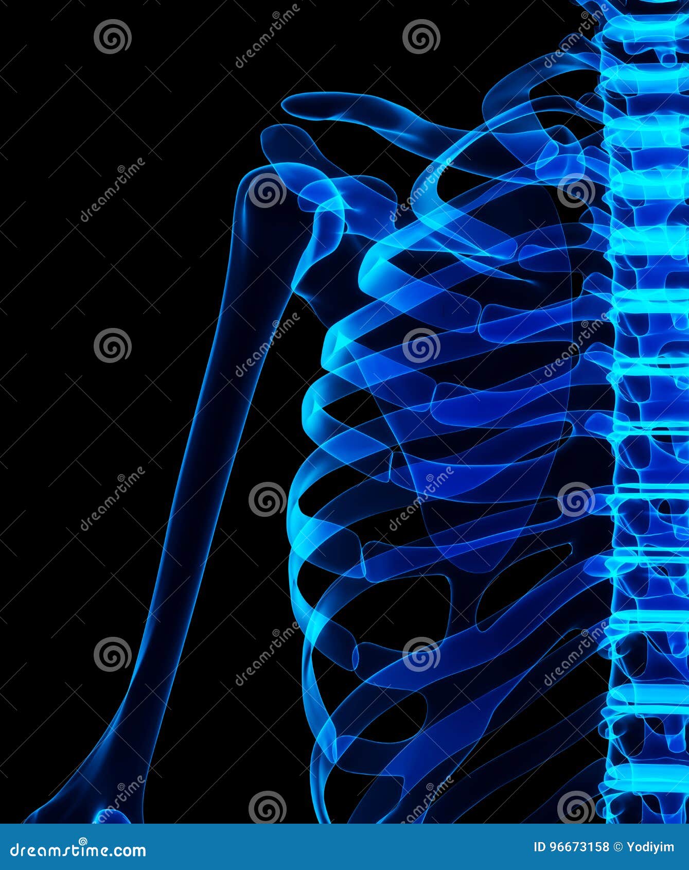 3D Illustration of Shiny Blue Skeleton System. Stock Illustration ...