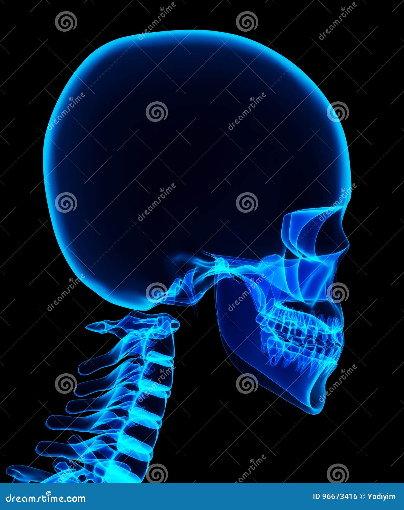 3D Illustration of Shiny Blue Skeleton System. Stock Illustration ...